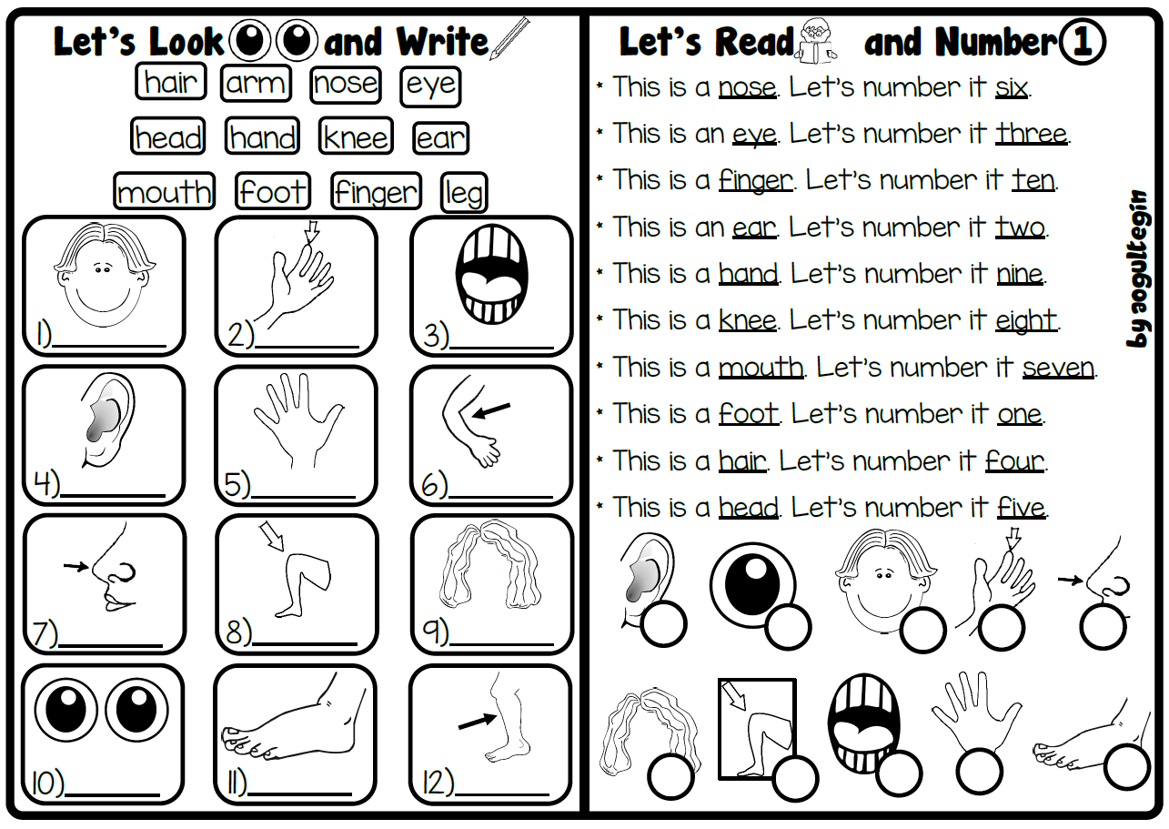 Worksheets | Unit 7 of Grade 2