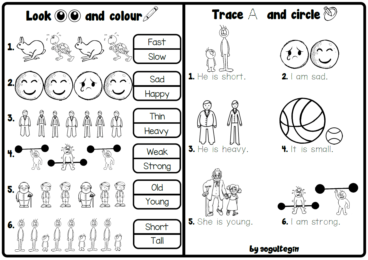 Worksheets | Unit 3 of Grade 3
